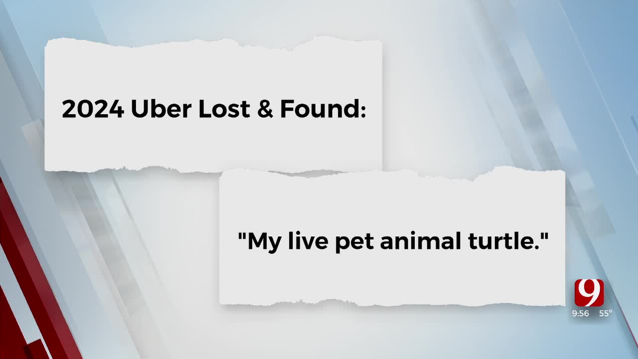 Uber Users Share Weirdest Items Left Behind In Vehicles