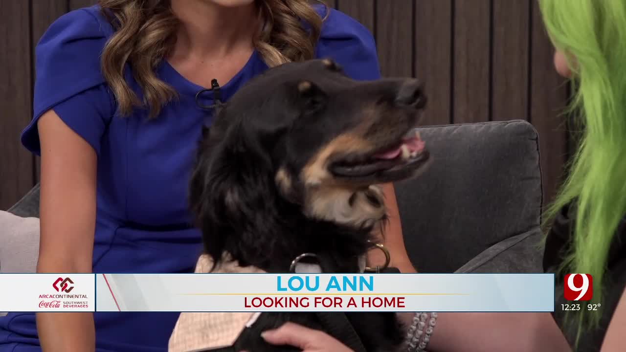 Pet Of The Week: Lou Ann