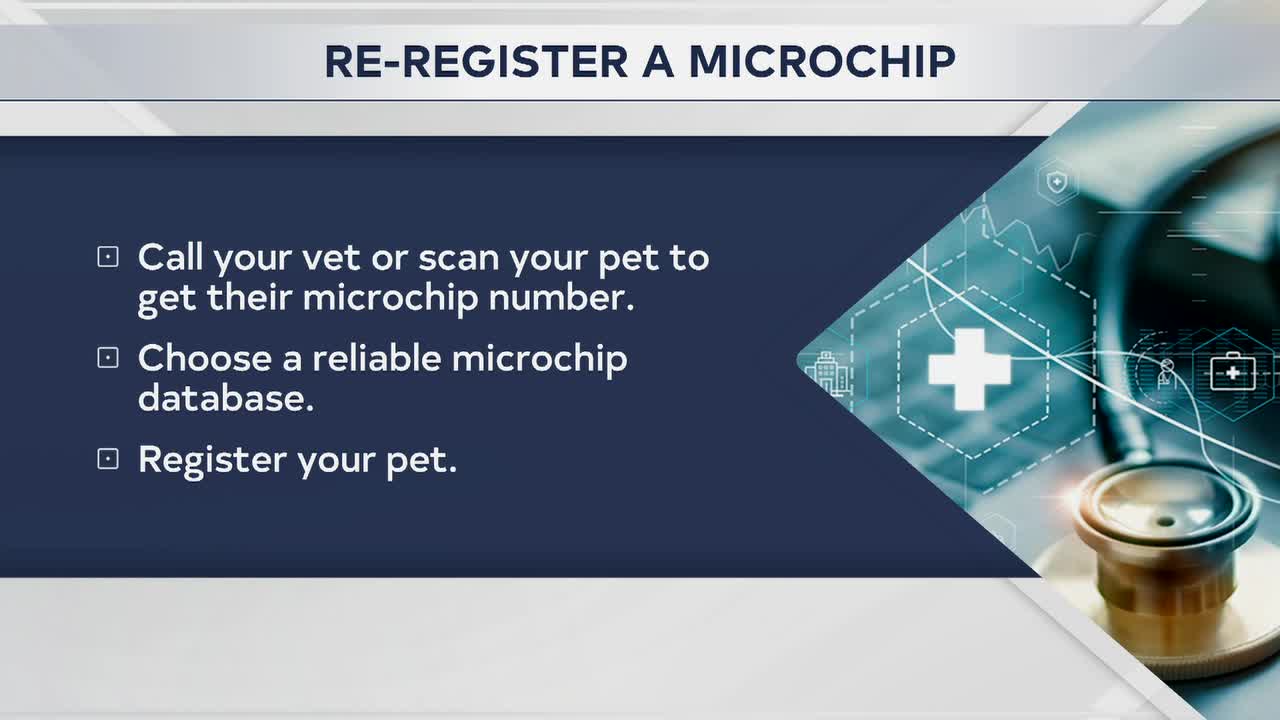 Microchip company ceases operations, pet owners urged to re-register