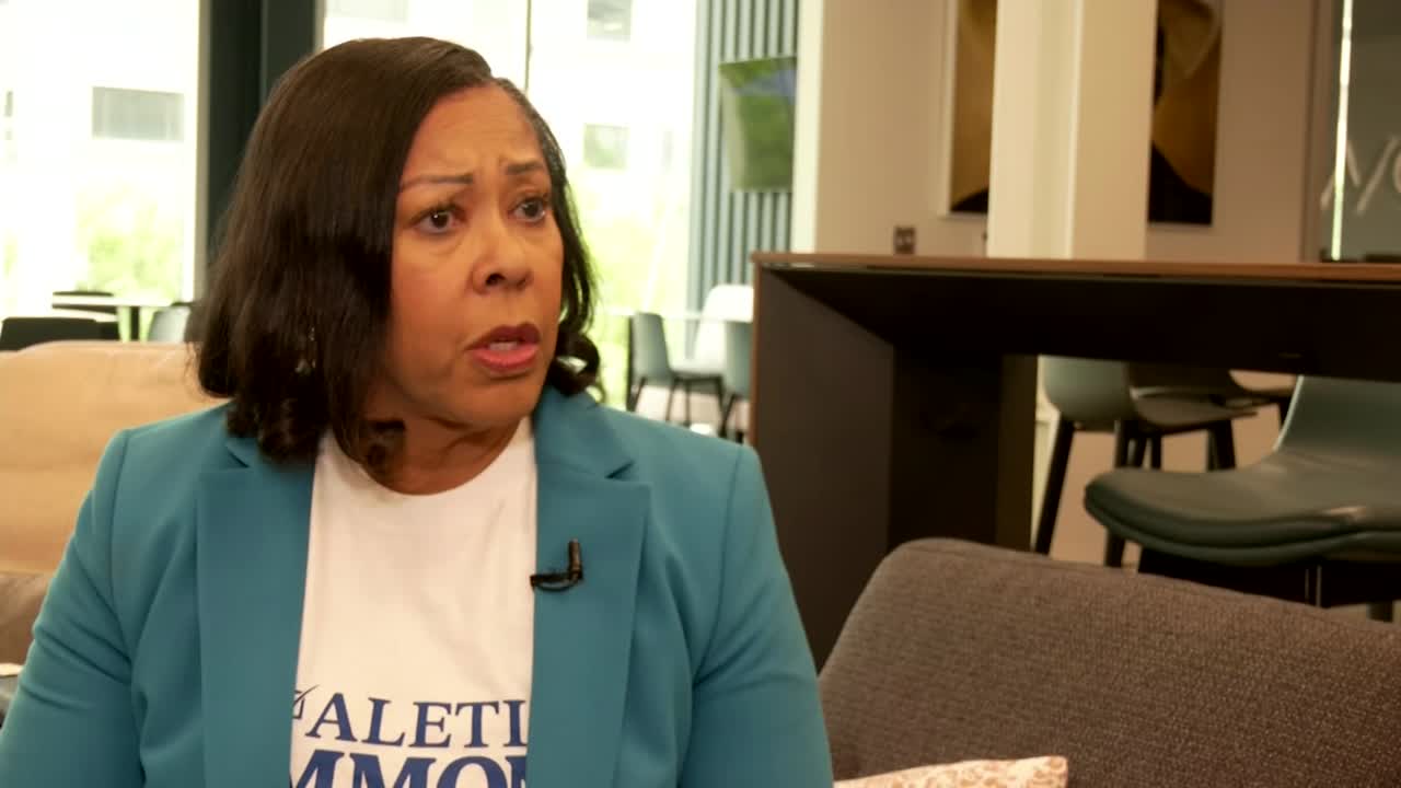 Here is what to know about each running for State Representative ...