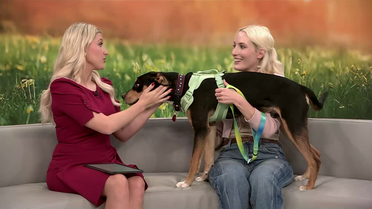 Pet of the Week: Geno