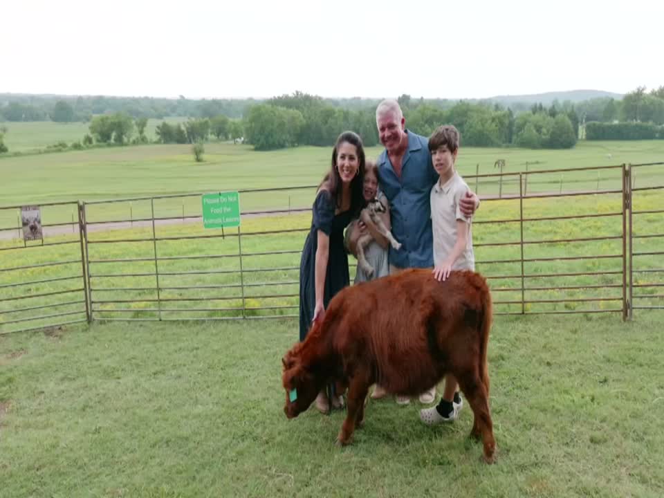 Fall Adventures: Cow cuddles, farm adventures, and Japanese treats in ...