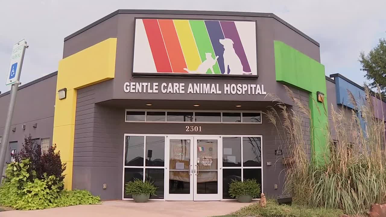 Edmond Veterinarian and staff separately address controversial post ...