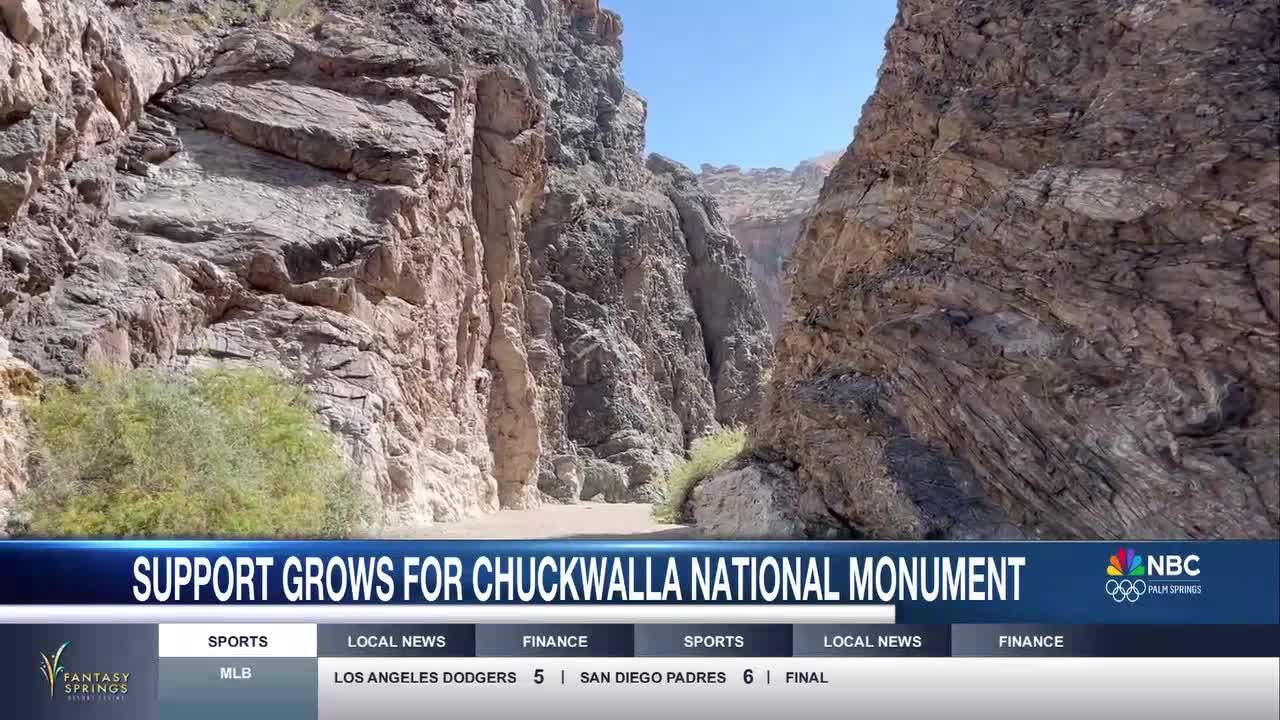 Momentum Continues to Build for Chuckwalla National Monument Designation