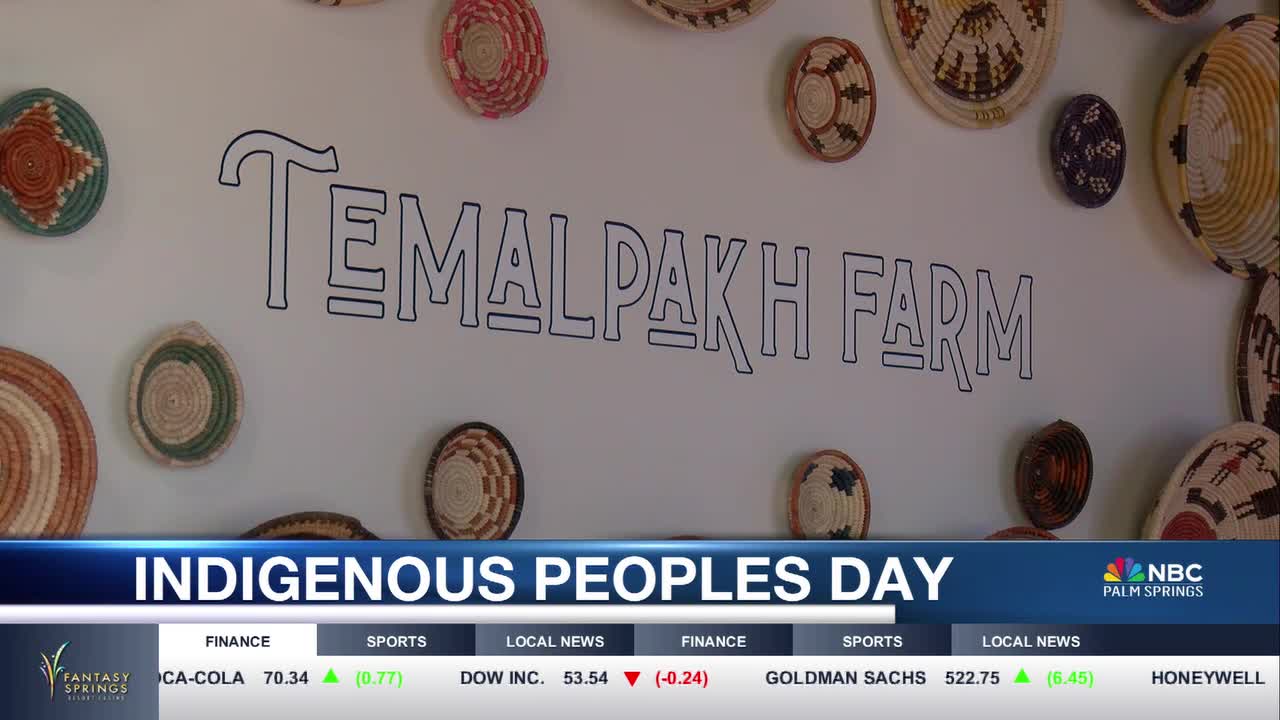 Indigenous Peoples Day: Local Native American Business Spotlight in ...