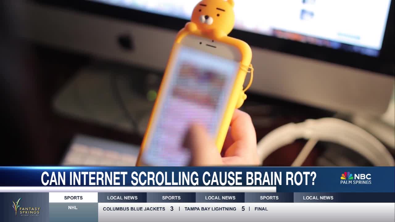Can Internet Scrolling Cause Brain Rot?