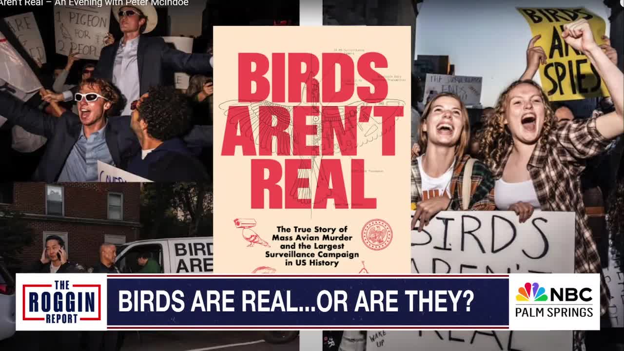 The “Birds Aren’t Real” Conspiracy: A Joke That Took Flight