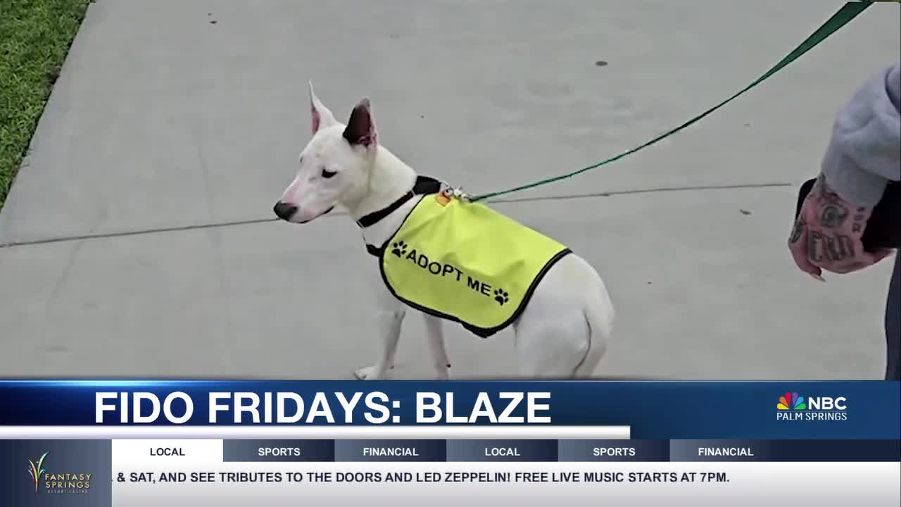 Former OneRepublic Bassist, Tim Myers Announces Run For Congress In ...