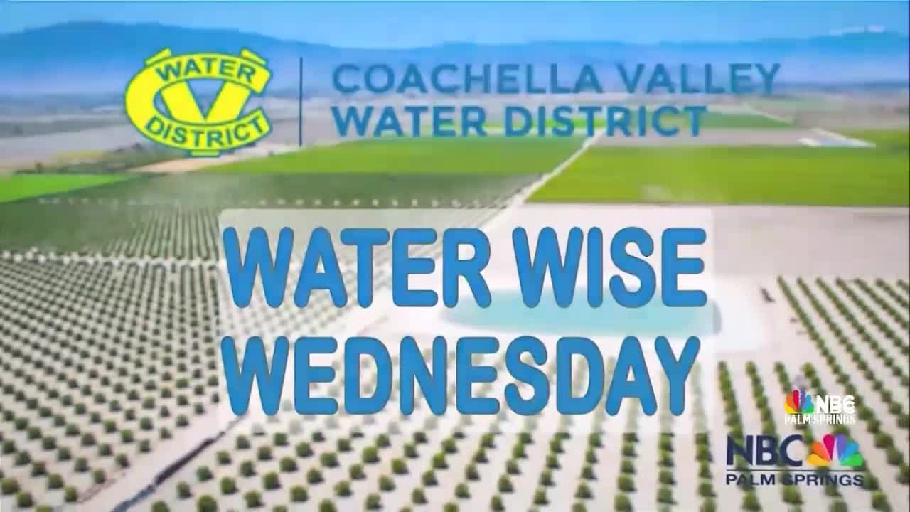 Tips to Prepare Your Garden for Summer Heat on Water Wise Wednesday