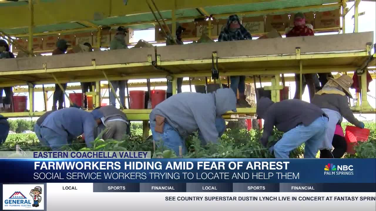 DEA Marijuana Bust Sparks Fear in East Valley Farmworker Communities