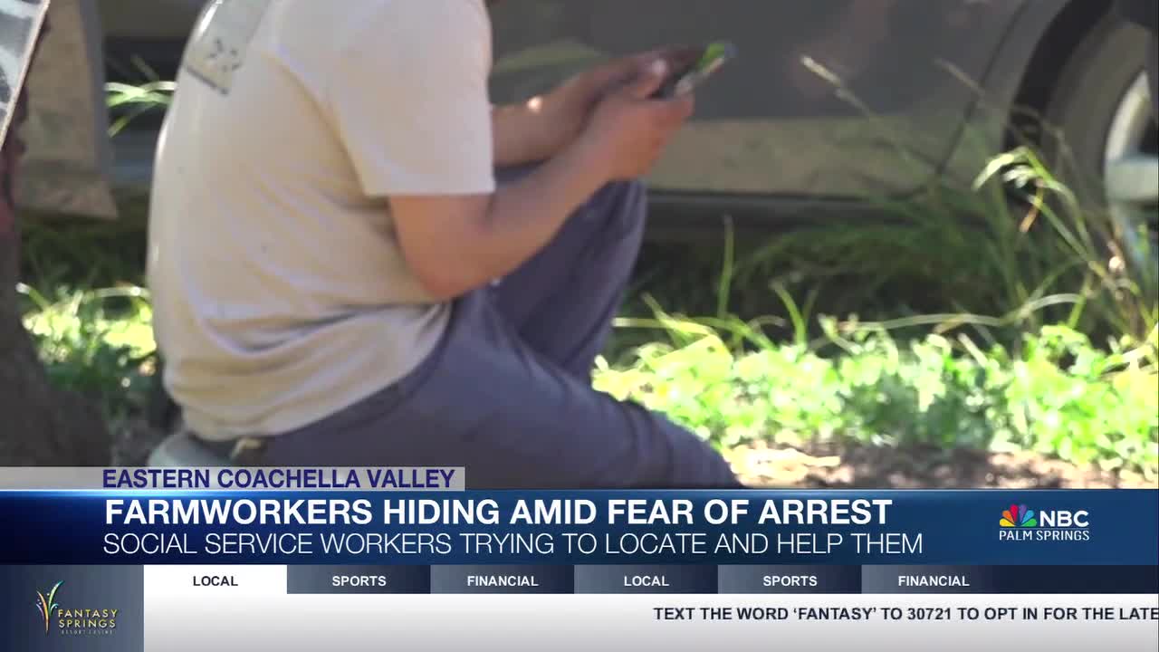 DEA Raid Triggers Panic in East Valley; Farmworkers Hide in Fields Amid ...