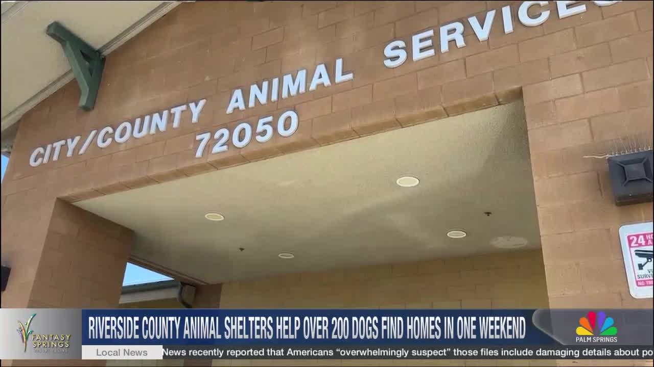 Riverside County Animal Shelters Celebrate Over 200 Dog Adoptions and ...