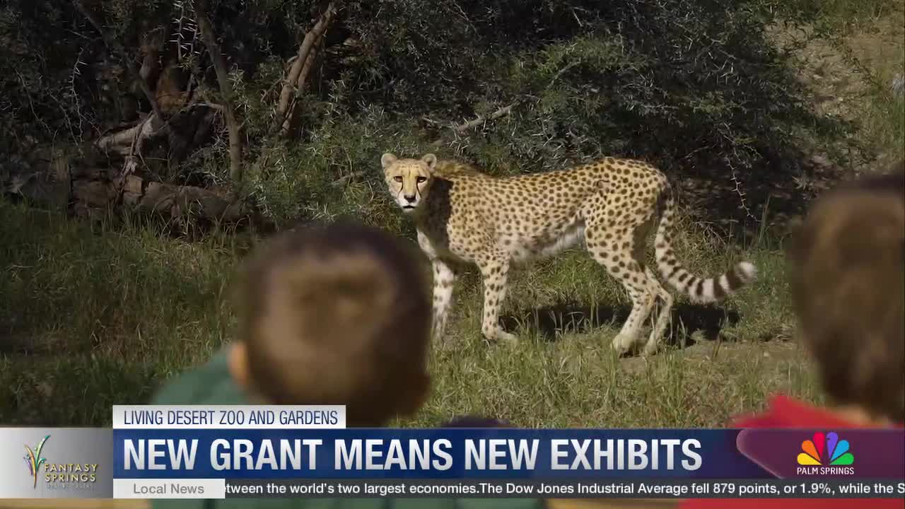 Living Desert Zoo and Gardens Receives Major Grant, Paving Way for New ...