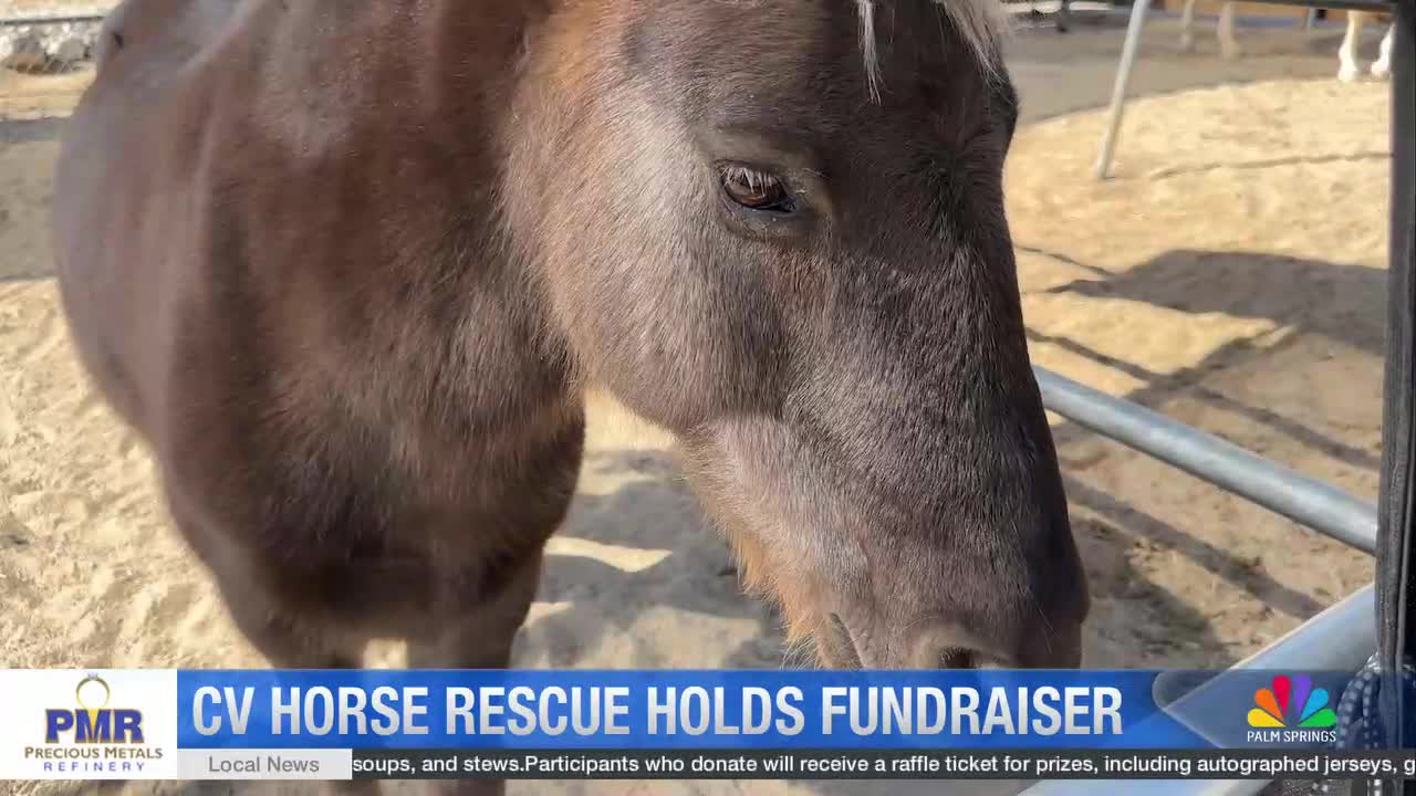 Coachella Valley Horse Rescue Hosts Third Annual ‘Raising Hay ...