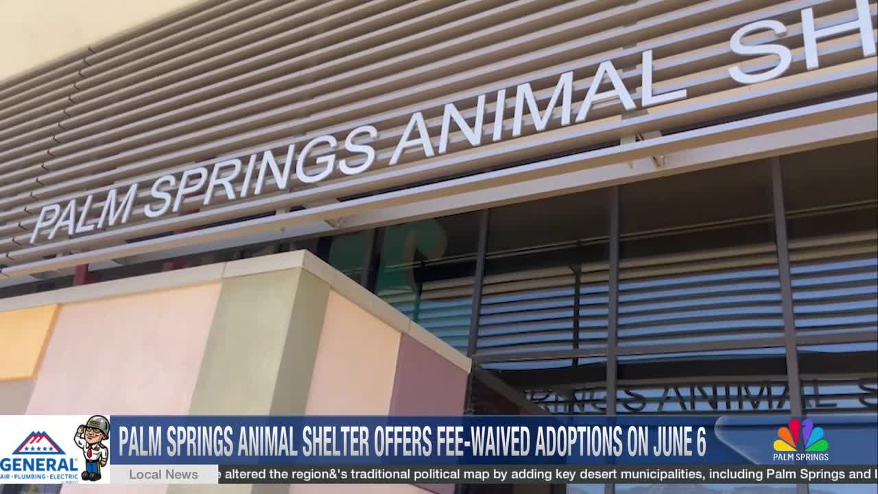 Palm Springs Animal Shelter Waives All Fees for Third Annual California ...