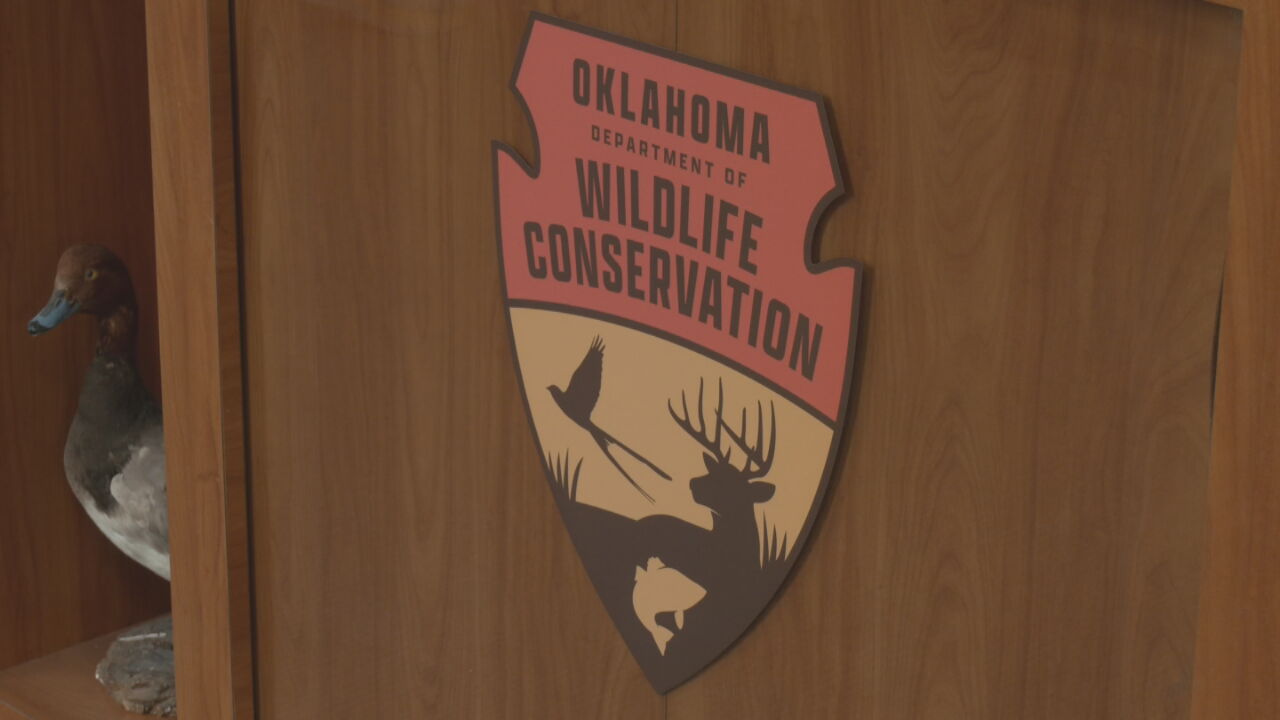 Cost Of Oklahoma Hunting, Fishing Licenses Increase To Help Support ...