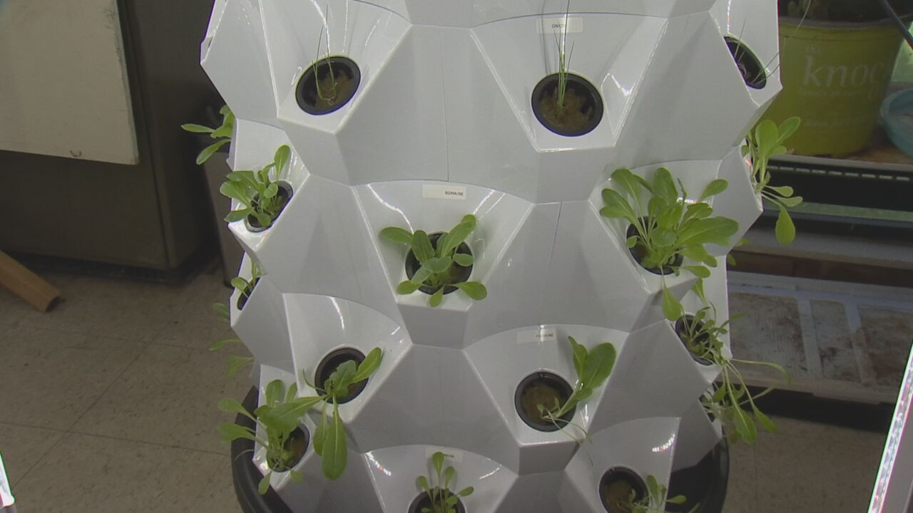 Aeroponic Planting: Tulsa County's Initiative To Provide Fresh Produce ...