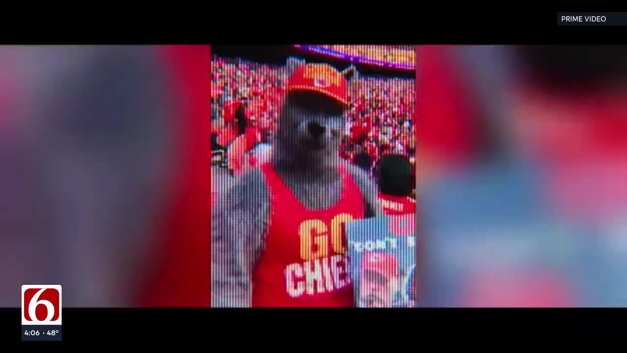 Timeline: Chiefsaholic Crime Spree Ends With 17 Year Sentence