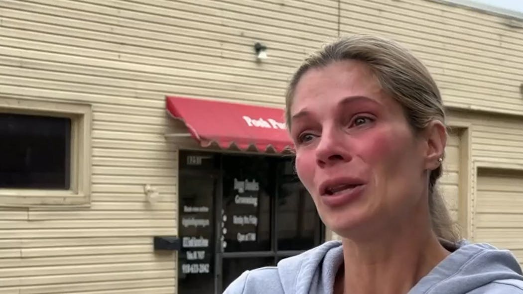 Former Doggie Doodles owner pleads guilty to accessory in animal abuse case