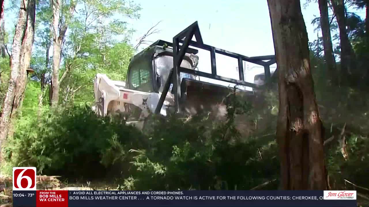 Oklahoma lawmakers push to remove fire-prone red cedar trees