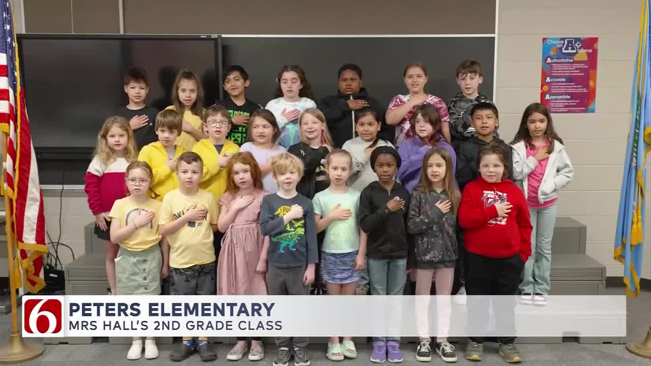 Daily Pledge: 2nd grade class at Peters Elementary