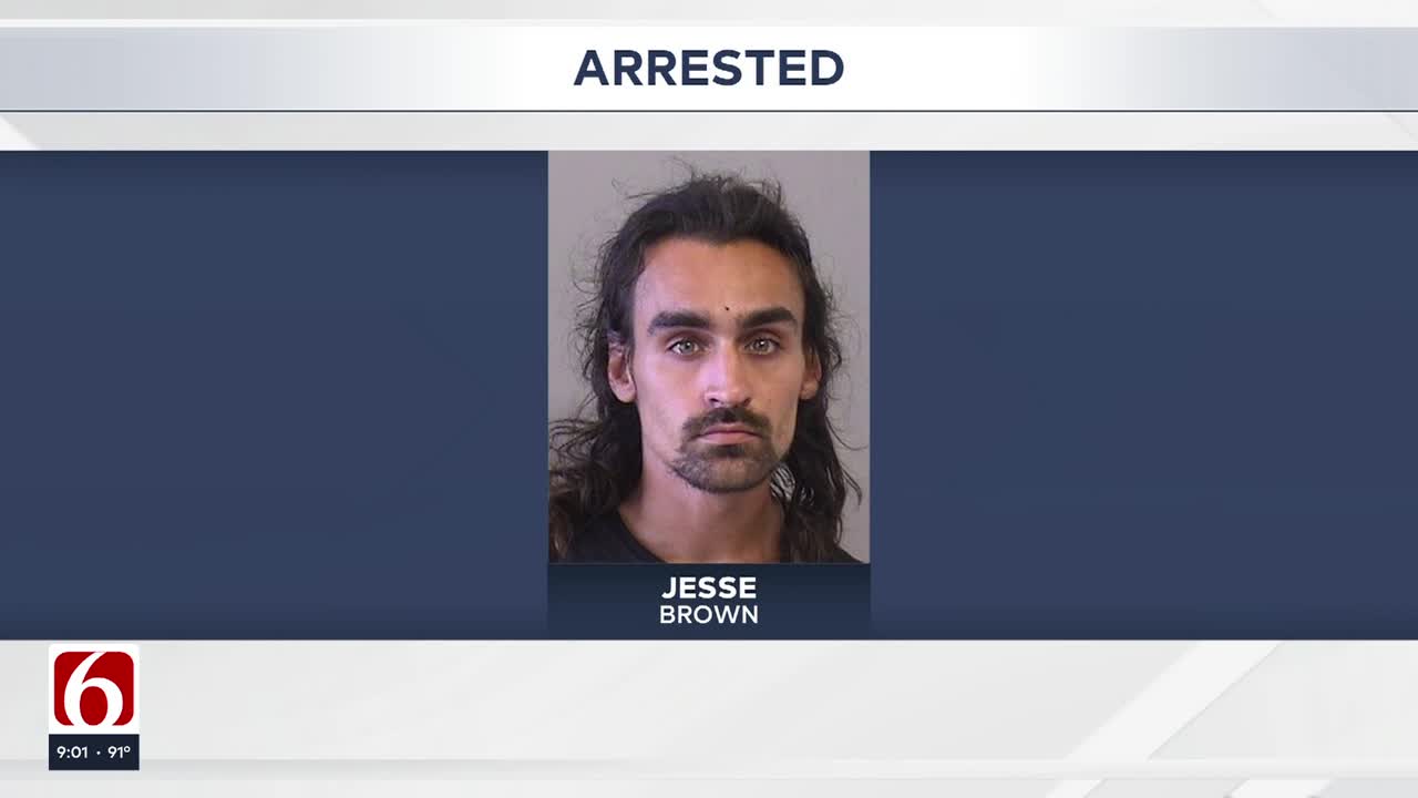 Turkey Mountain stabbing suspect in custody