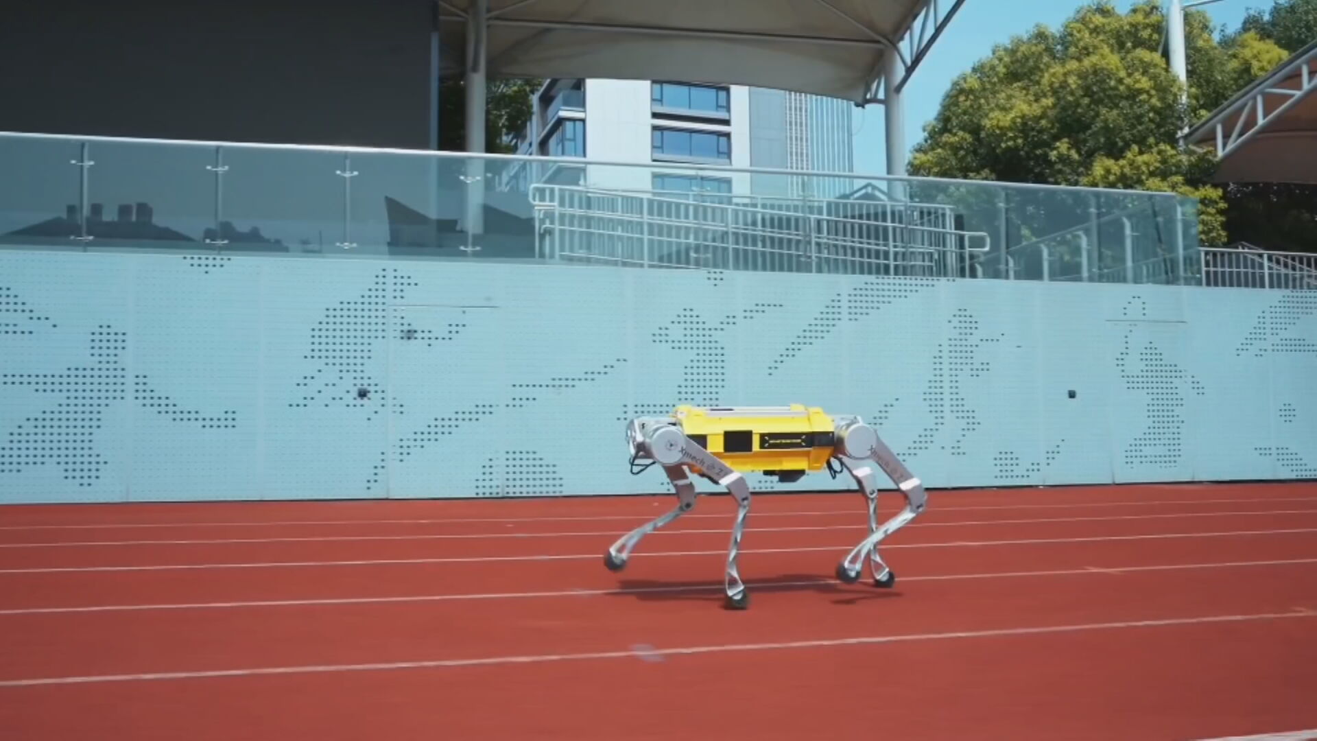 China’s ‘White Rhino’ robot sets Guinness World Record for fastest 100 ...